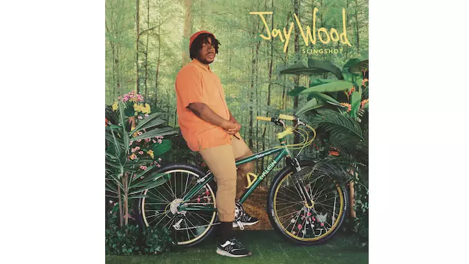 JayWood Inosunungura Psych-Funk neMishini paChipfuramabwe