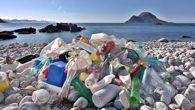 Op weg naar plastic afval om een groenere toekomst op te bouwen 113061_2