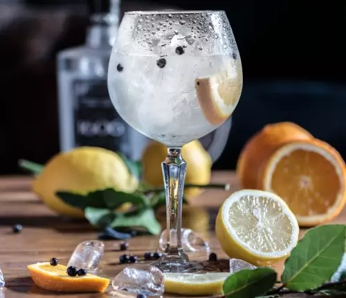 Perguntas sobre coquetéis: 5 perguntas sobre Gin 18903_7