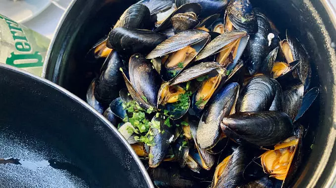 Moules Frites 不可否認的喜悅