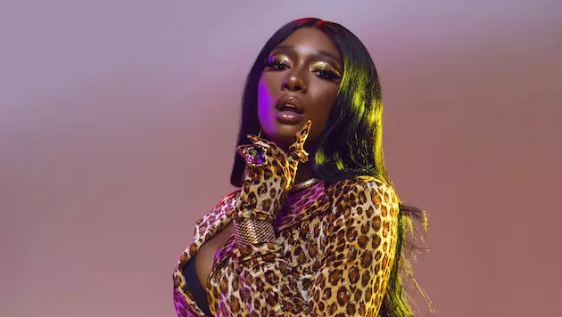 Megan Thee Stallion nu știe când poate lansa muzică nouă