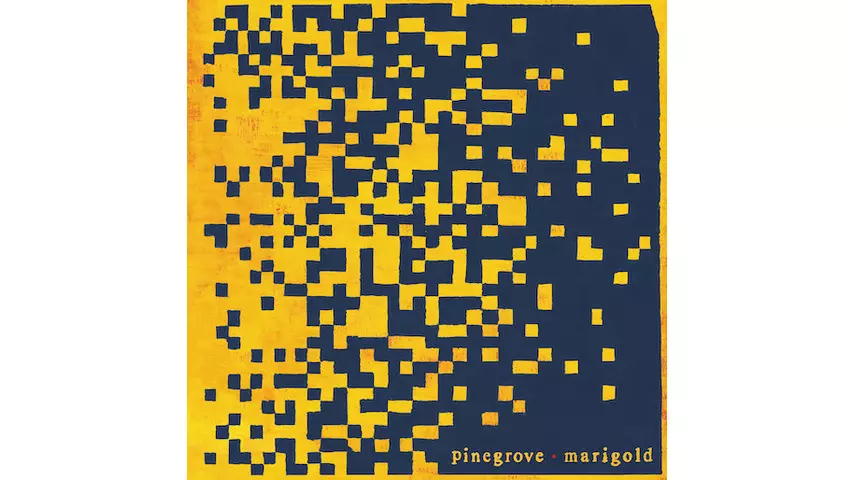 Pinegrove manandrana mamela ny tenany amin'ny marigold