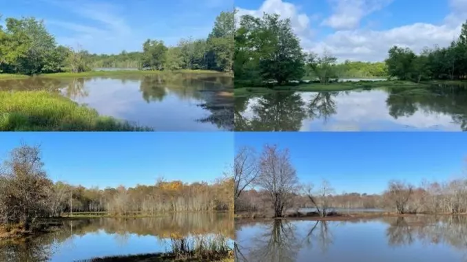 Constitution Lakes je moje omiljeno mjesto u Atlanti 387_6