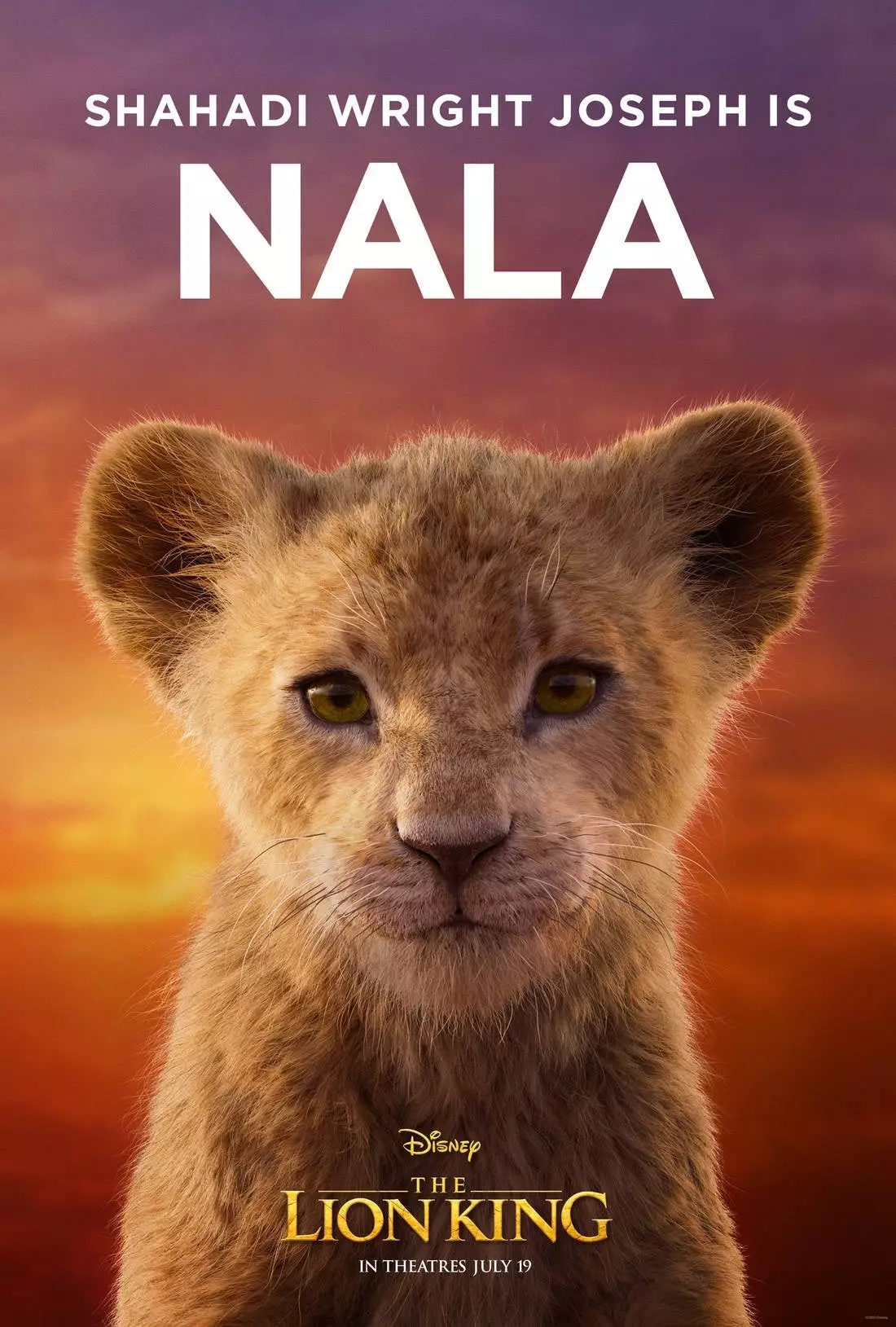 Young Nala Poster.jpeg