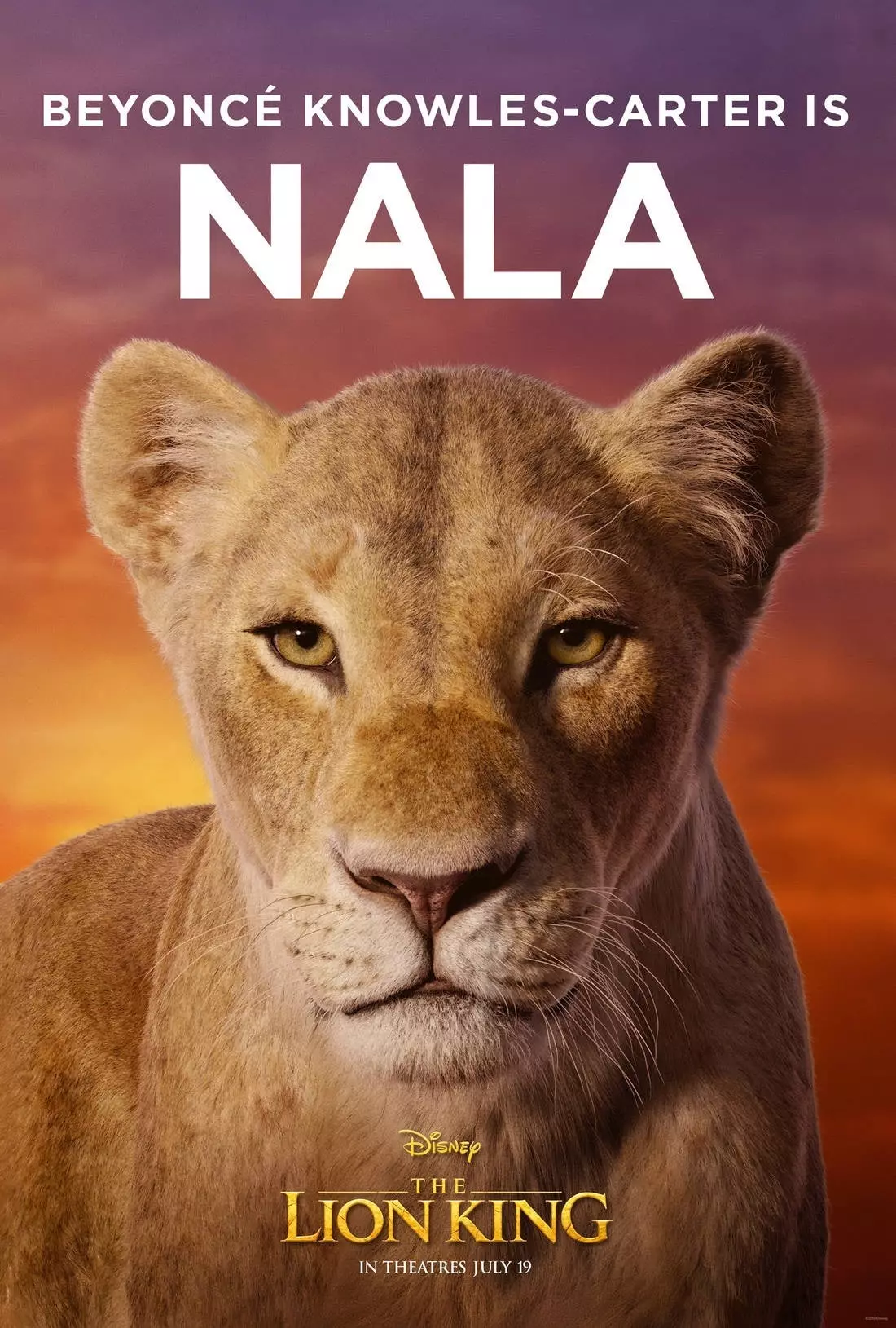 Nala Booster.jpeg