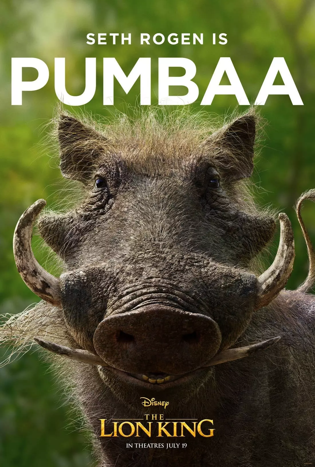 Pumbaa Booster.jpeg