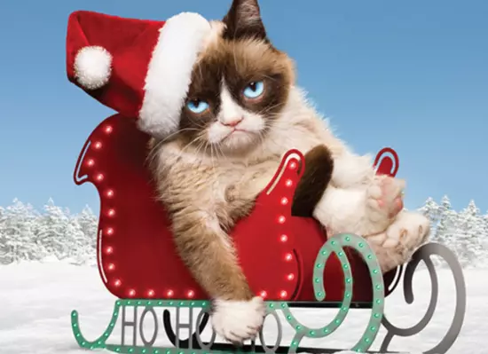 grumpycat (ڪسٽم).png