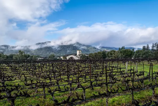 Im Napa Valley Wine Train 62491_2