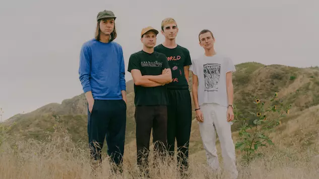 DIIV