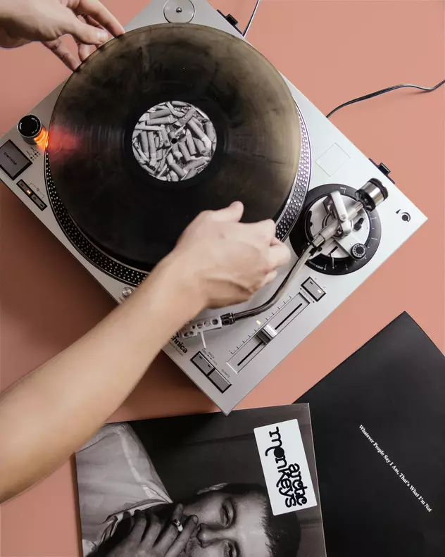 شىمالىي قۇتۇپ مايمۇنى Vinyl Me ئارقىلىق رىۋايەتلىك تۇنجى پىلاستىنكىسىنى قايتا تارقىتىدۇ 99174_3